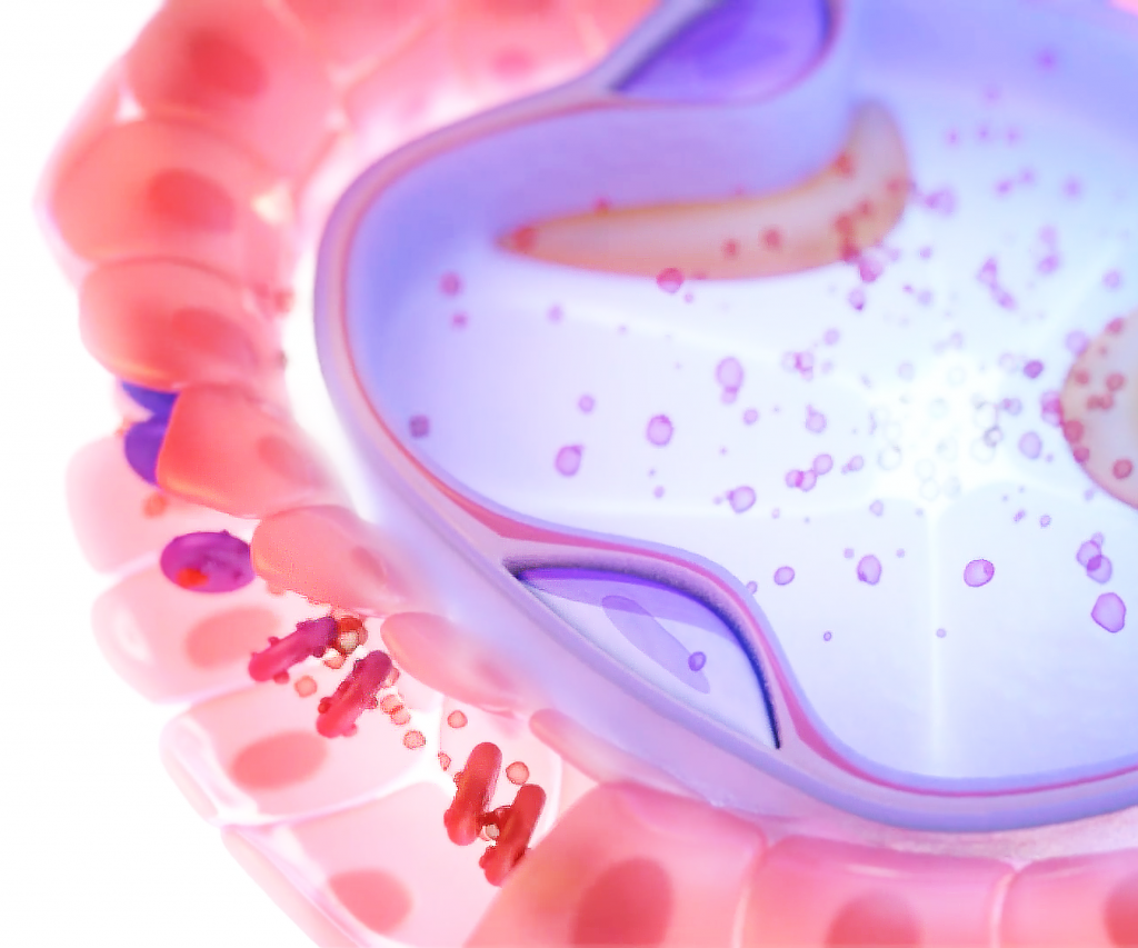 Biological Animation of Cellular Structures - Medical, Technical ...