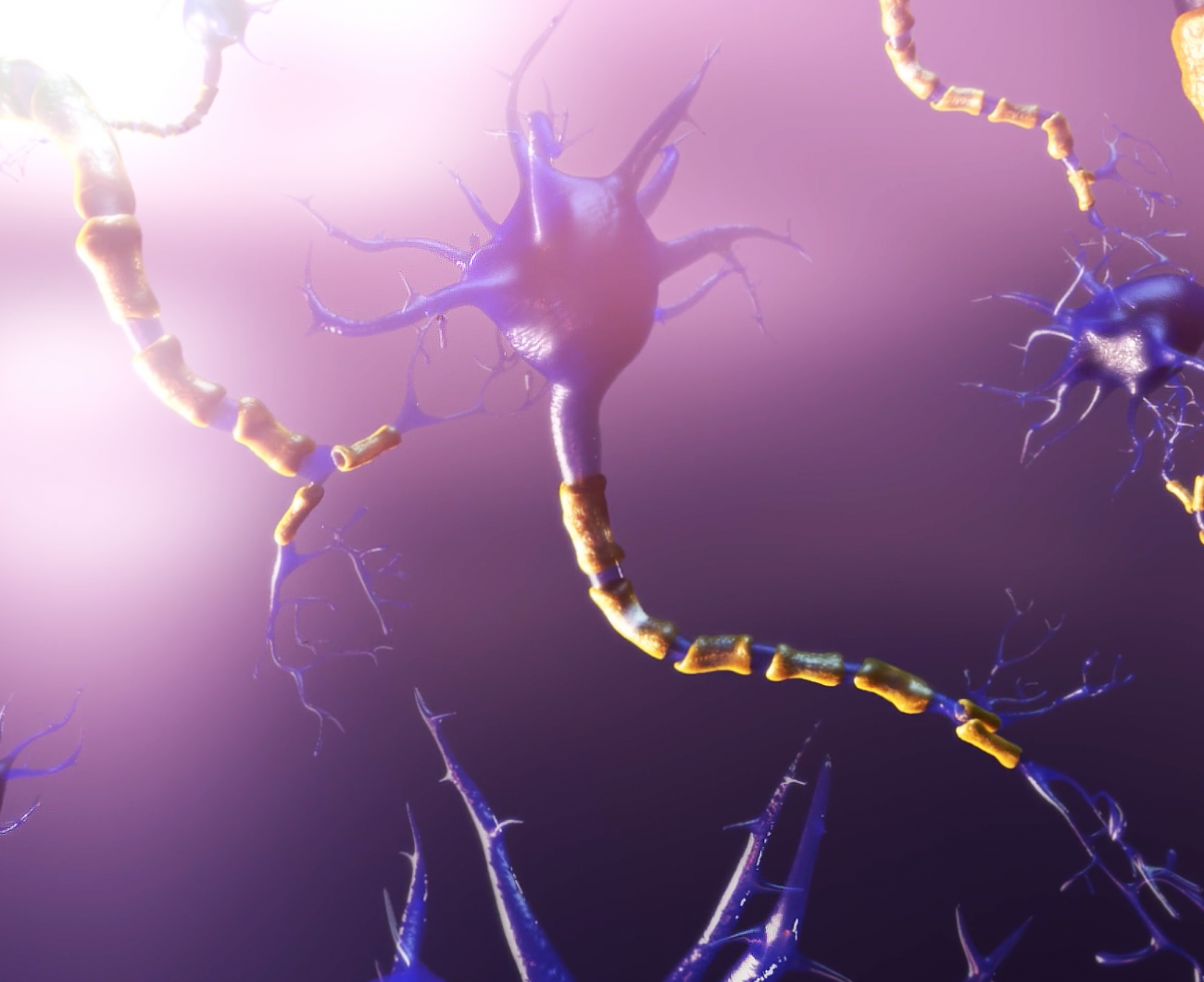 Mechanism of Action Pharmacological Animations